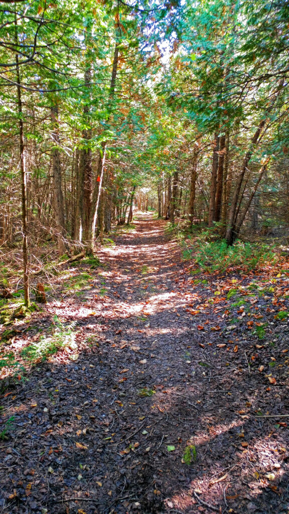 About The RTA - Rideau Trail Association